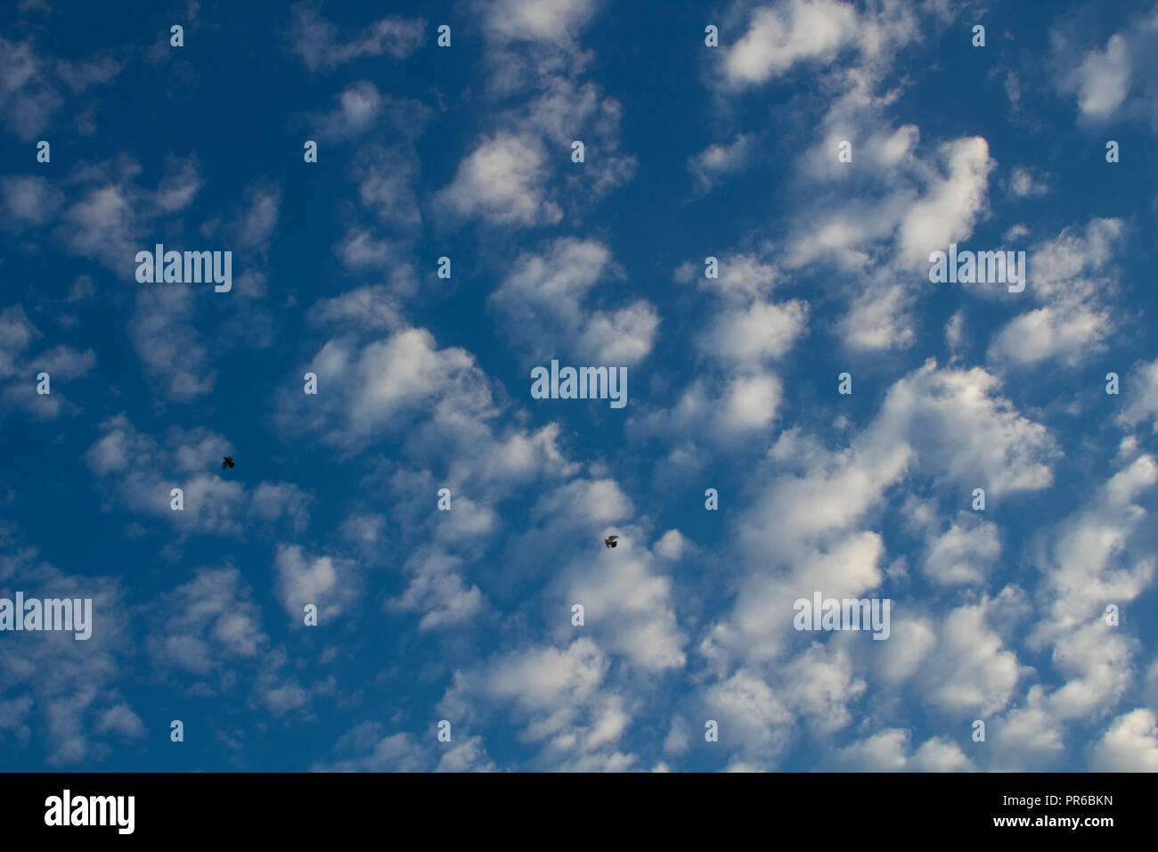 Simpleframe hi-res stock photography and images - Alamy