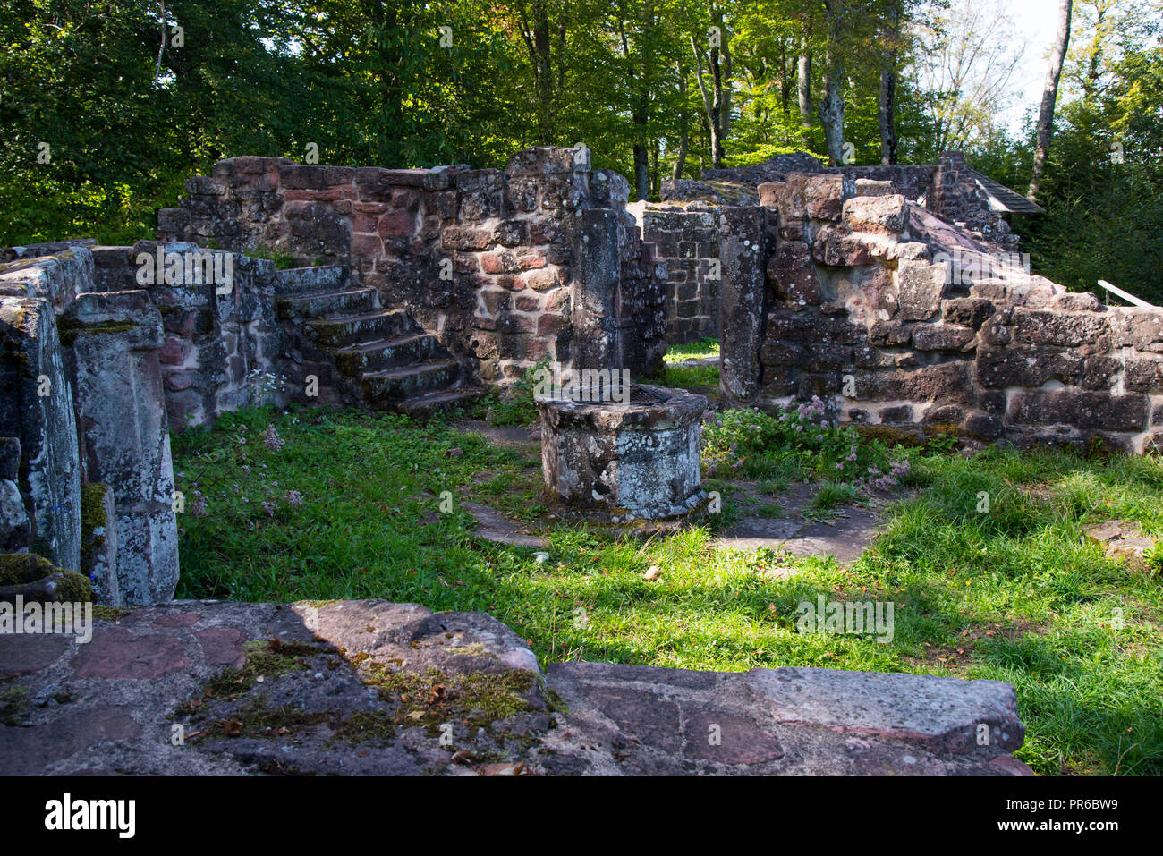 Ruin forest hi-res stock photography and images - Alamy