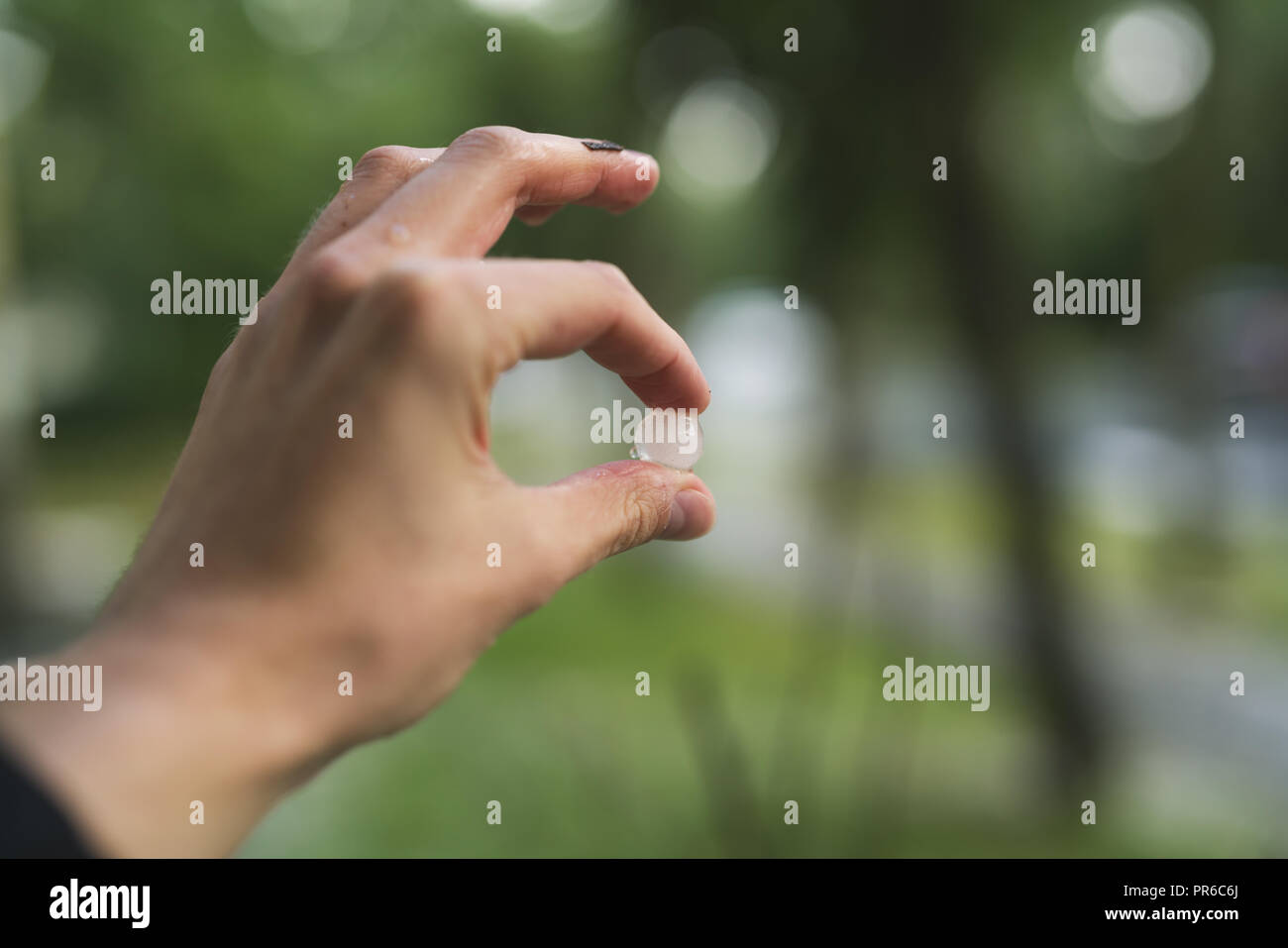 closeup male hand holding hailstones after hailstorm Stock Photo - Alamy