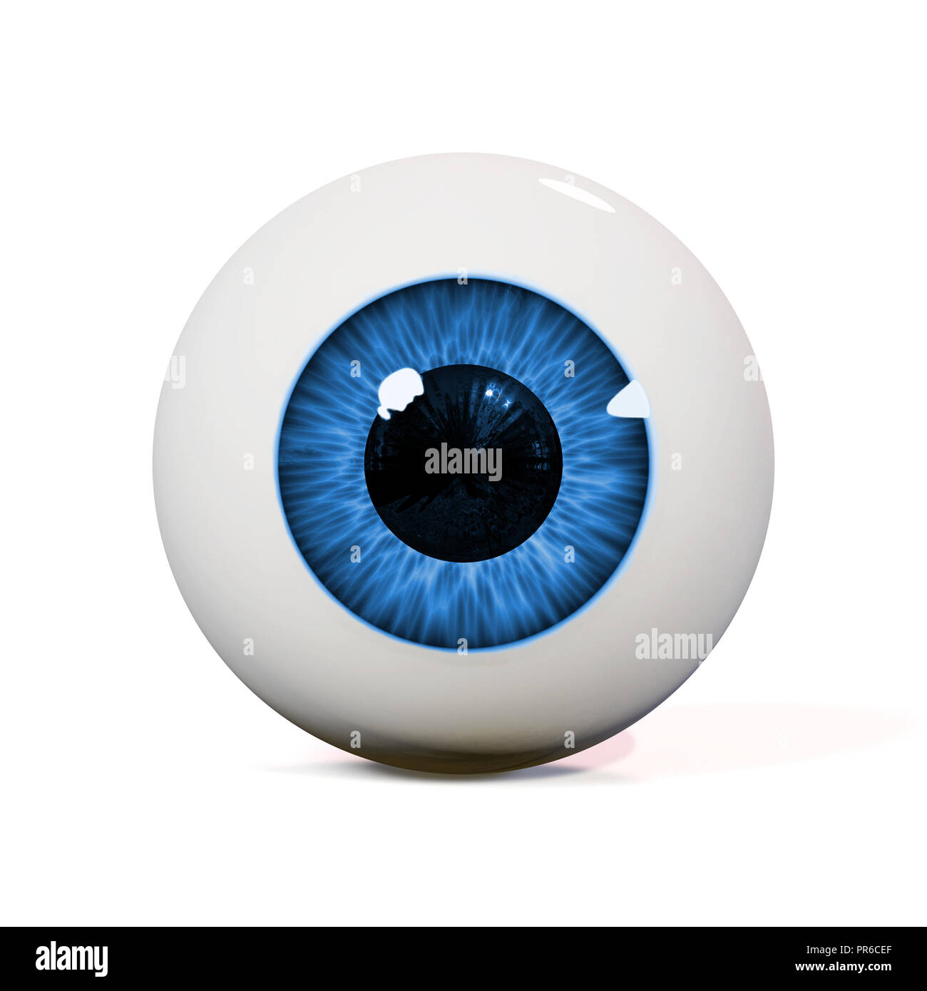 Eyeball anatomy hi-res stock photography and images - Alamy