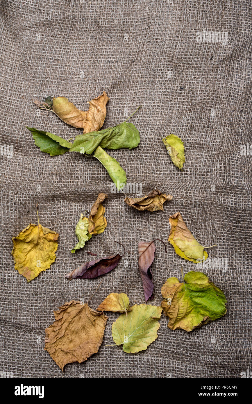 Autumn, rustic background, leaves on braided textile Stock Photo - Alamy