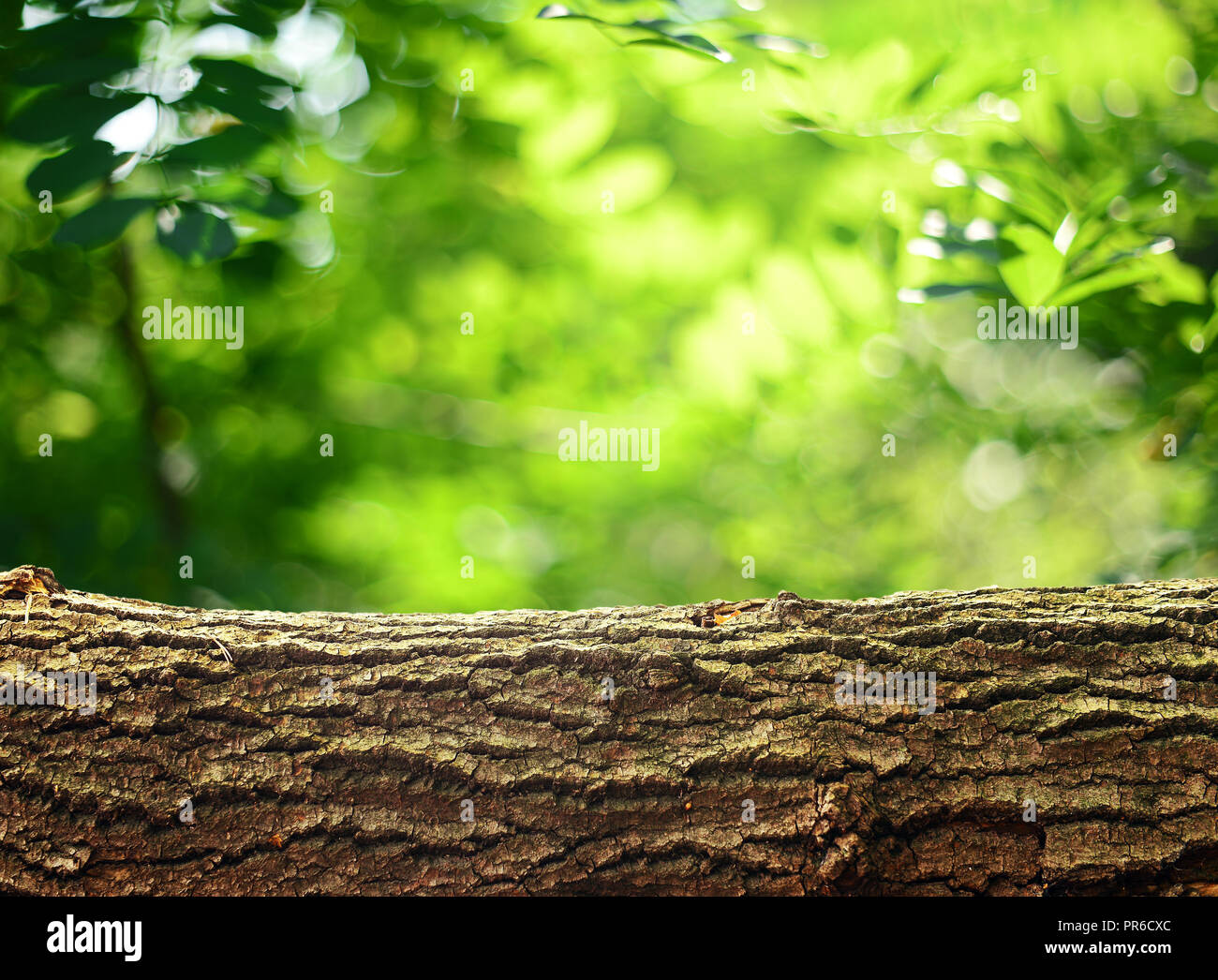 Wooden log background for product display montages Stock Photo - Alamy