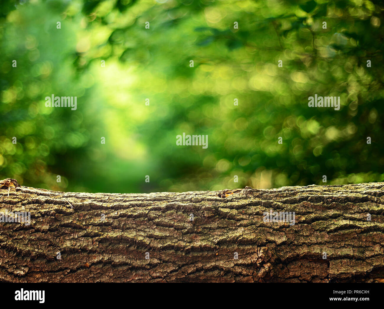 Wooden log background for product display montages Stock Photo - Alamy