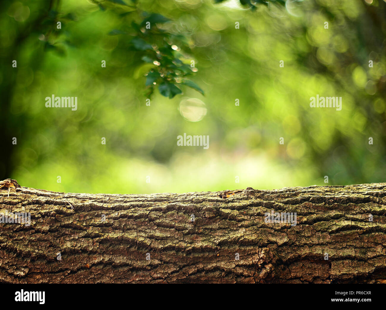 Wooden log background for product display montages Stock Photo - Alamy