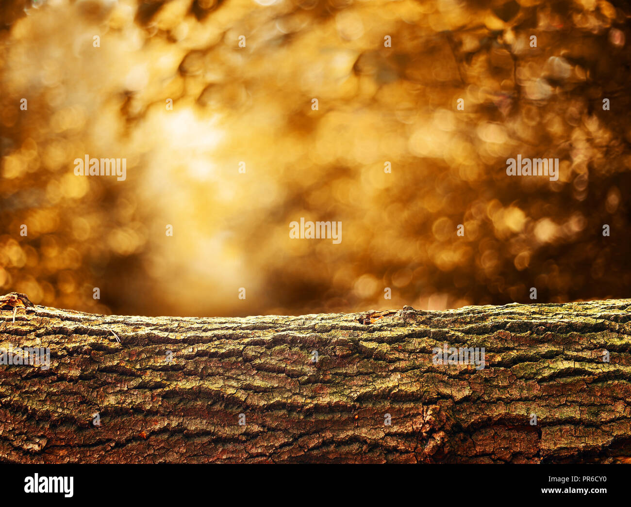 Wooden log background for product display montages Stock Photo - Alamy