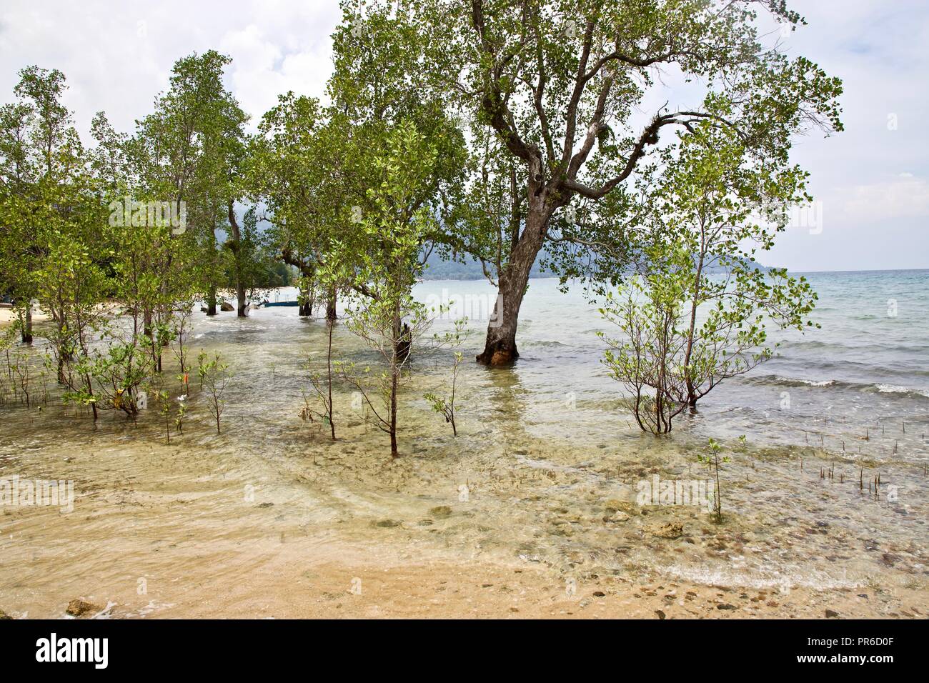 Tioman island, malaysia hi-res stock photography and images - Alamy