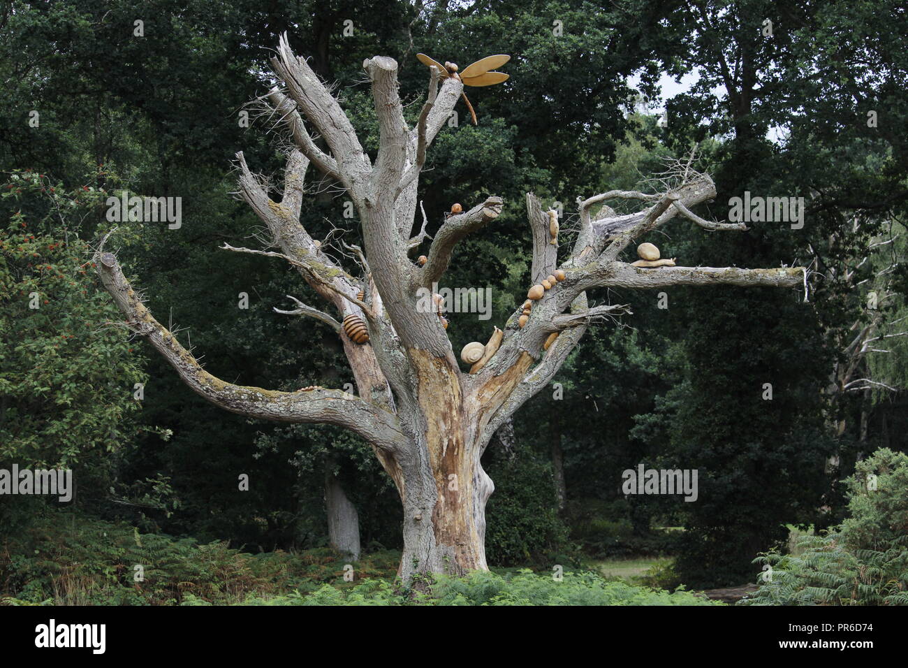 Chess valley walk Stock Photo - Alamy