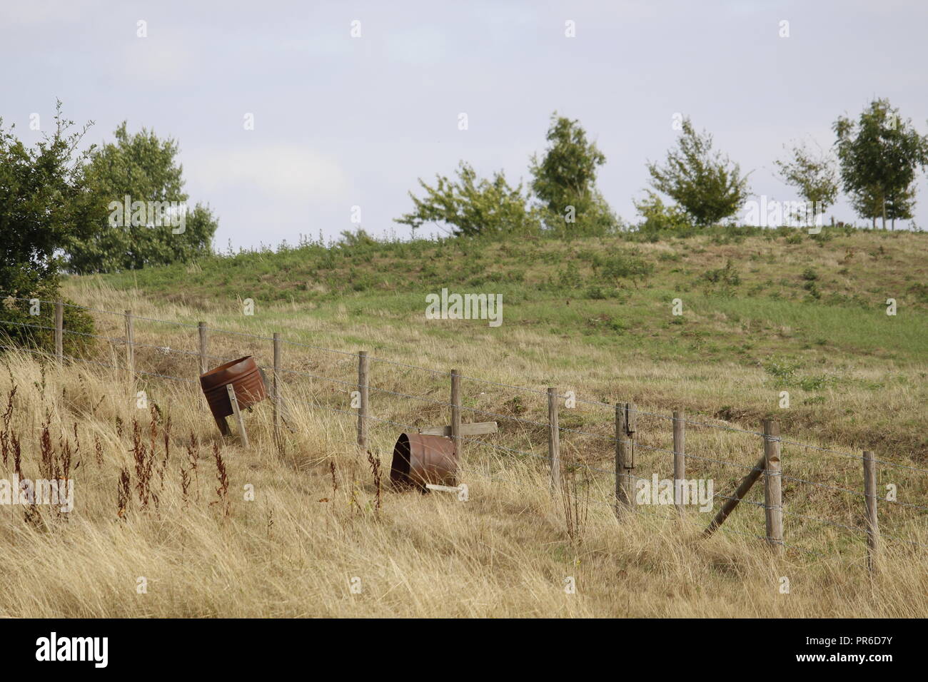 Field in the Chess Valley Walk Stock Photo - Alamy