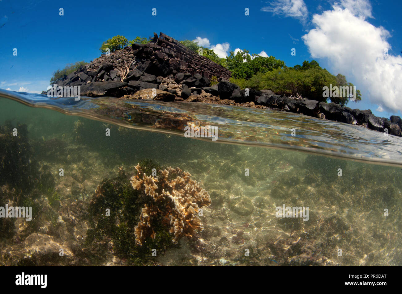 Algae and coral reef around one of the structures of the ancient city ...
