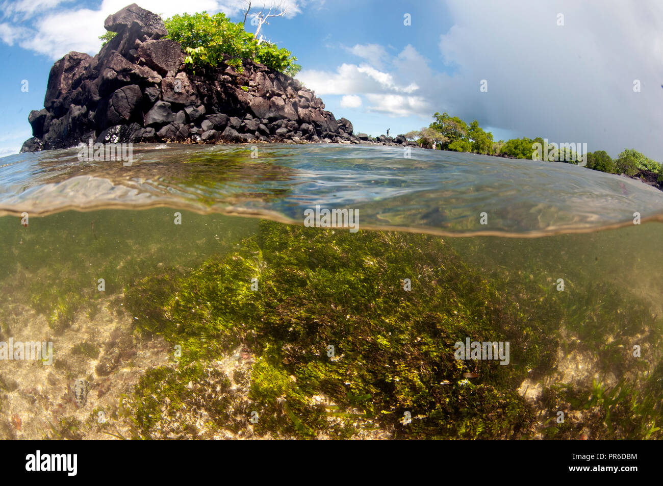 Underwater archaeological heritage hi-res stock photography and images ...