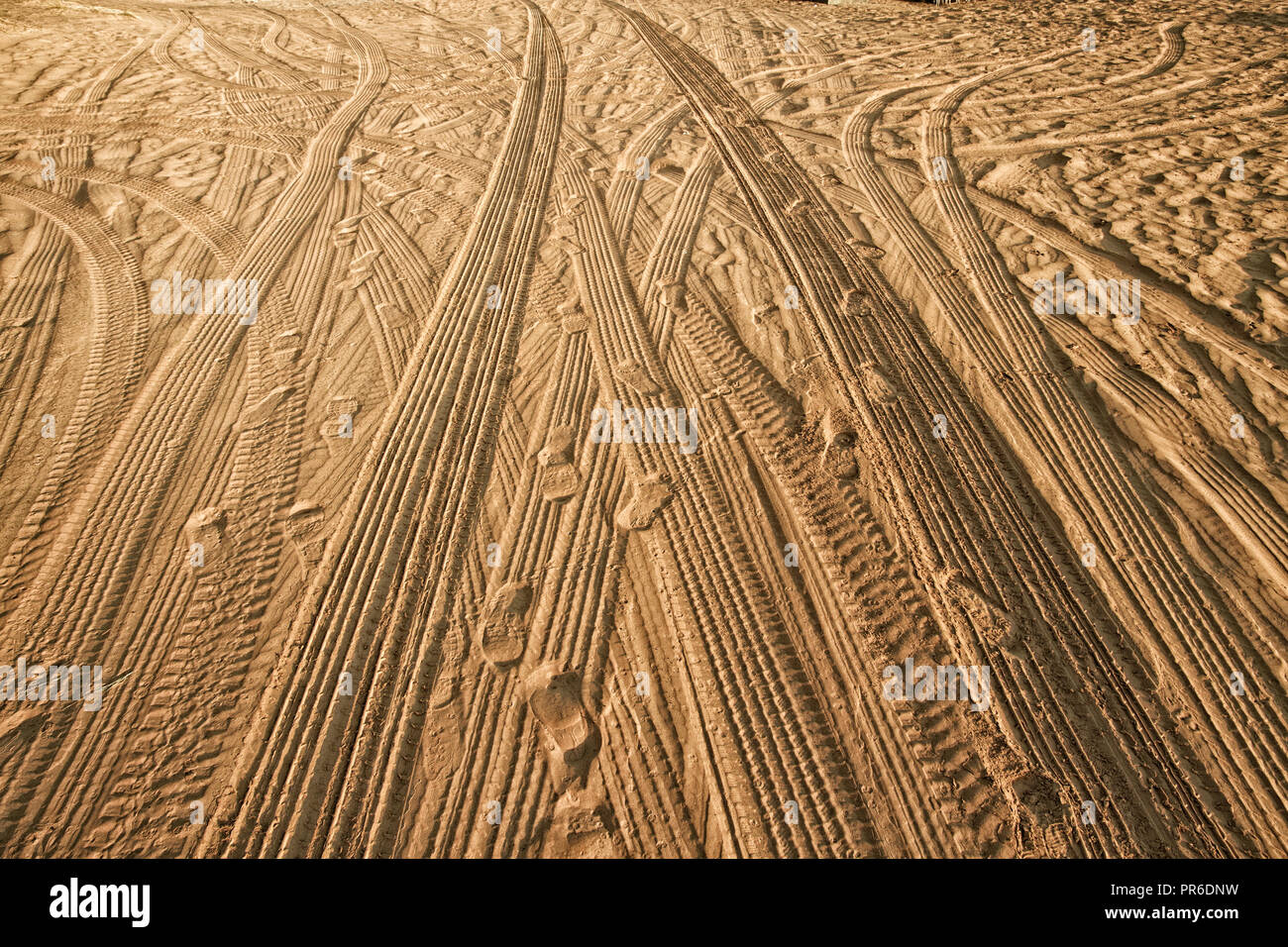 Tracks of cars on the sand in the desert sand Stock Photo - Alamy