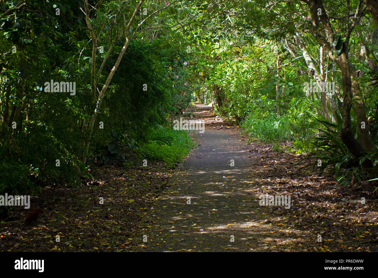 North shore oahu bike hi-res stock photography and images - Alamy