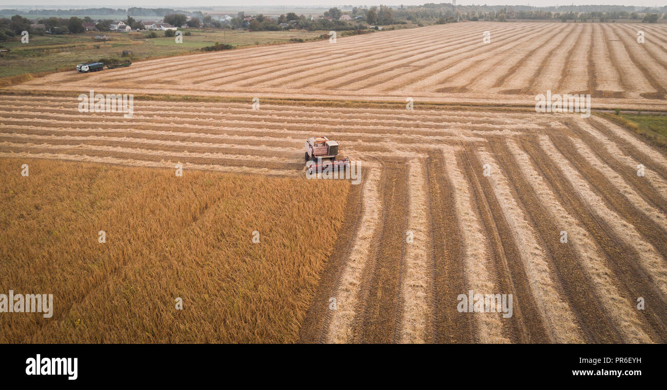 Aerial view soybean harvest hi-res stock photography and images - Alamy