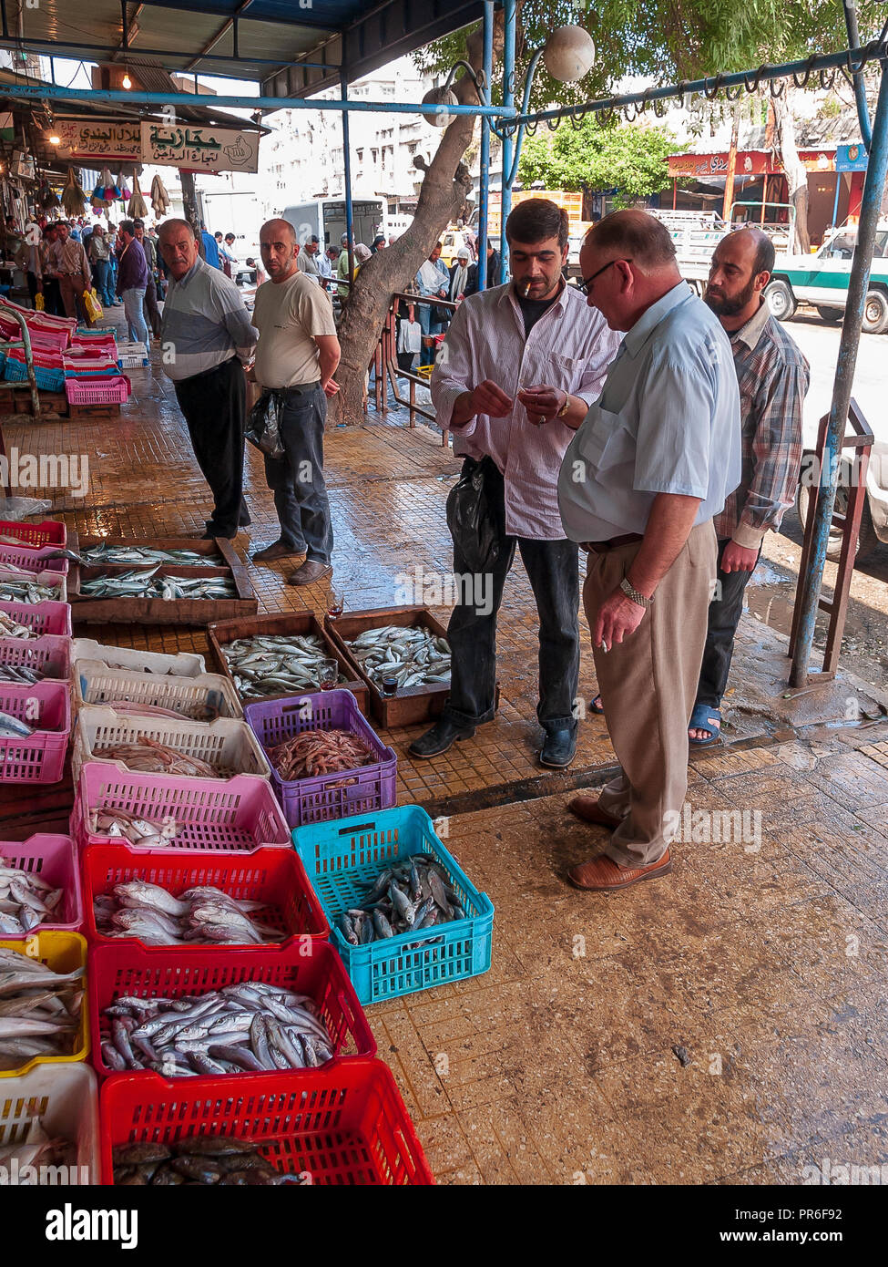 Fish Species On Display High Resolution Stock Photography and Images ...