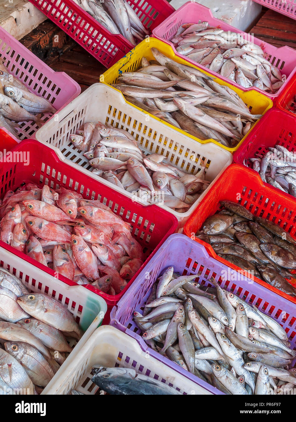 Fish market on streets of Latakia, Syria Stock Photo - Alamy