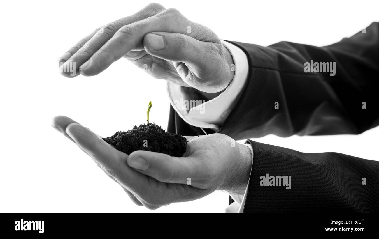 Businessman cupping a sprouting seedling in rich fertile soil his hand ...