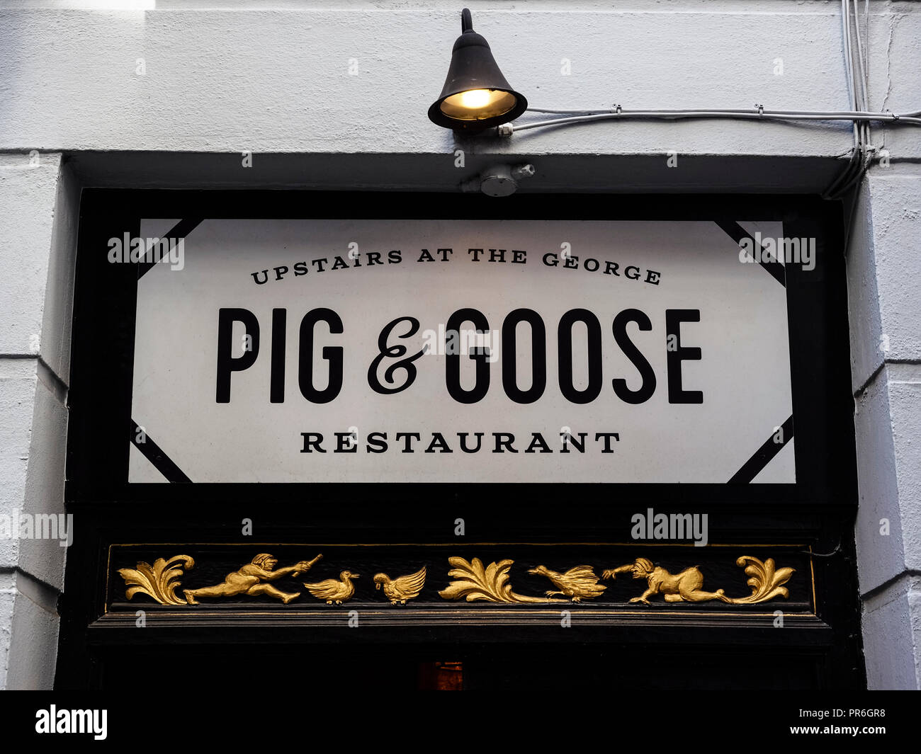 Pig and Goose Stock Photo - Alamy