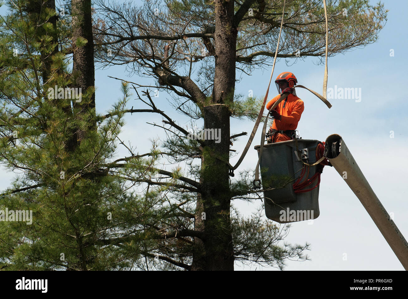 Man suspended hi-res stock photography and images - Alamy