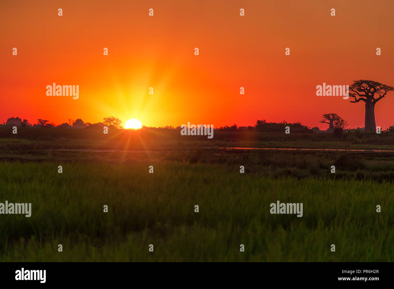 Amazing sunset in Madagascar near Allee de Baobab Stock Photo - Alamy