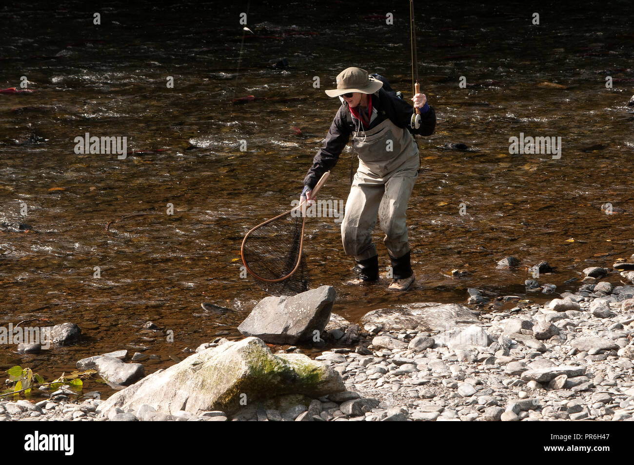 Landing fish hi-res stock photography and images - Alamy