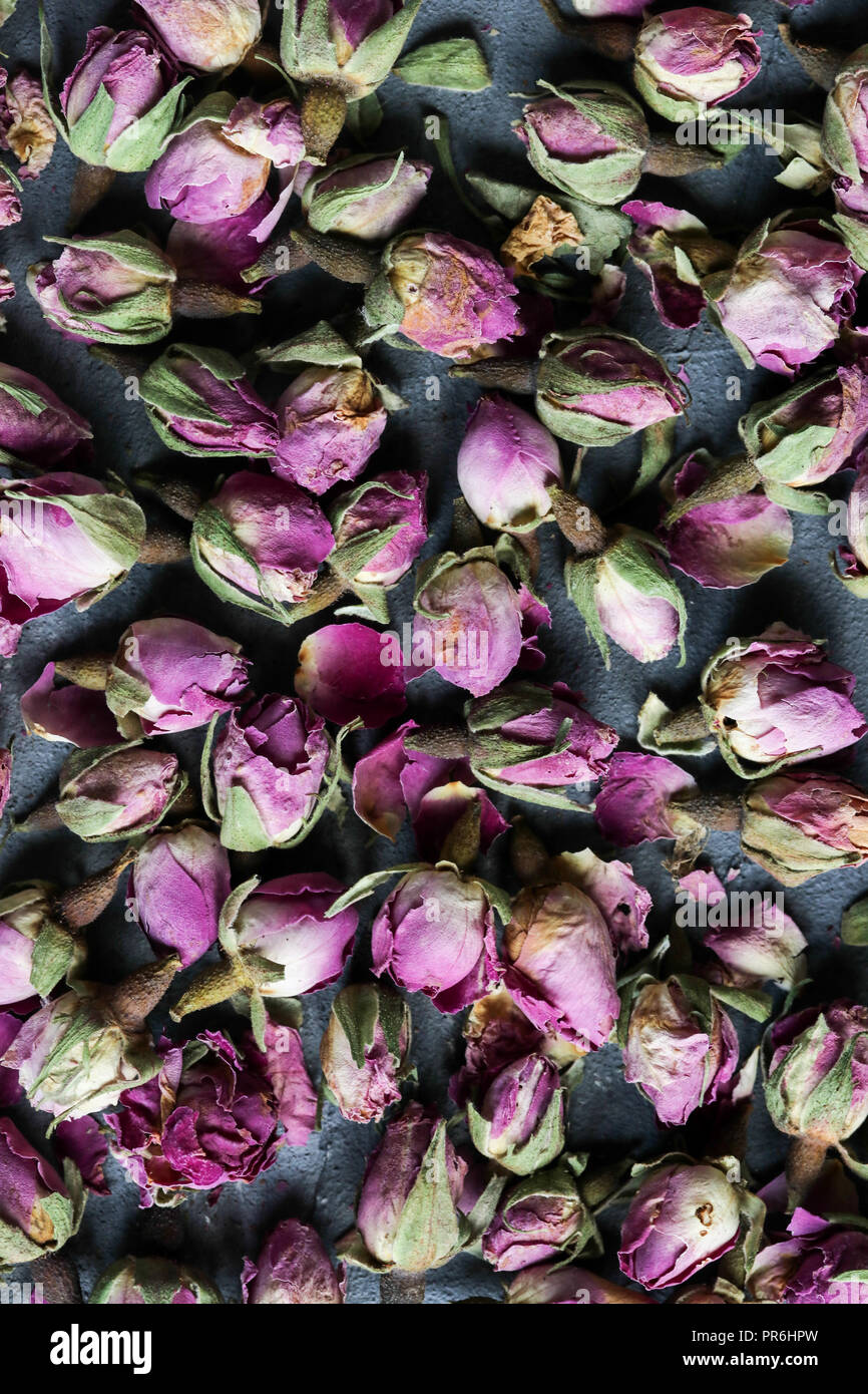Dried rose buds Stock Photo - Alamy
