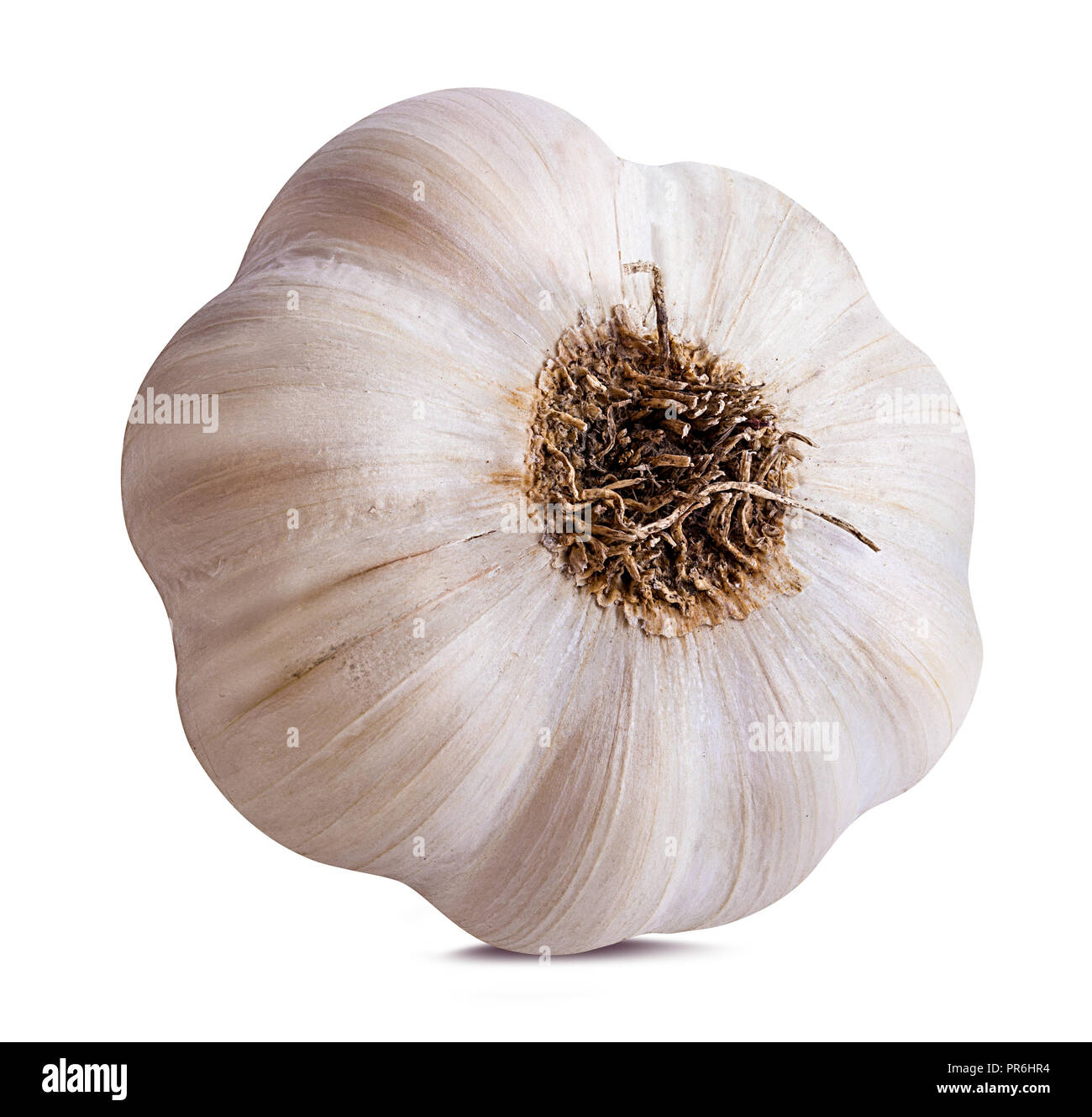 garlic isolated on white background Stock Photo - Alamy