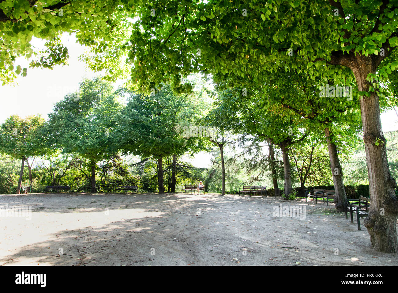 Woman sitting on a bench resting under the shade of the trees Stock ...