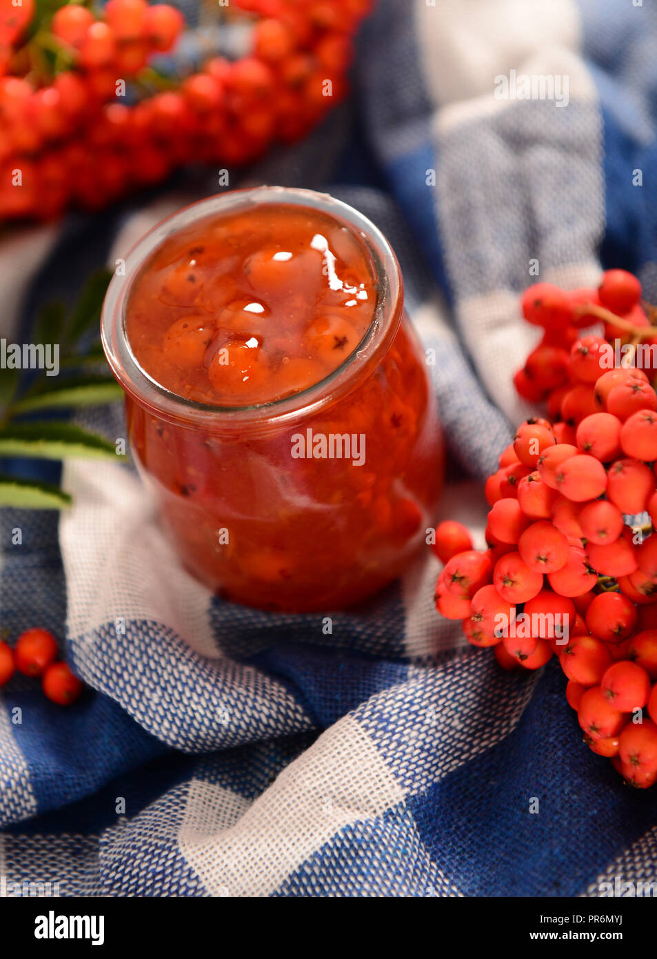 Mountain ash jam Stock Photo - Alamy