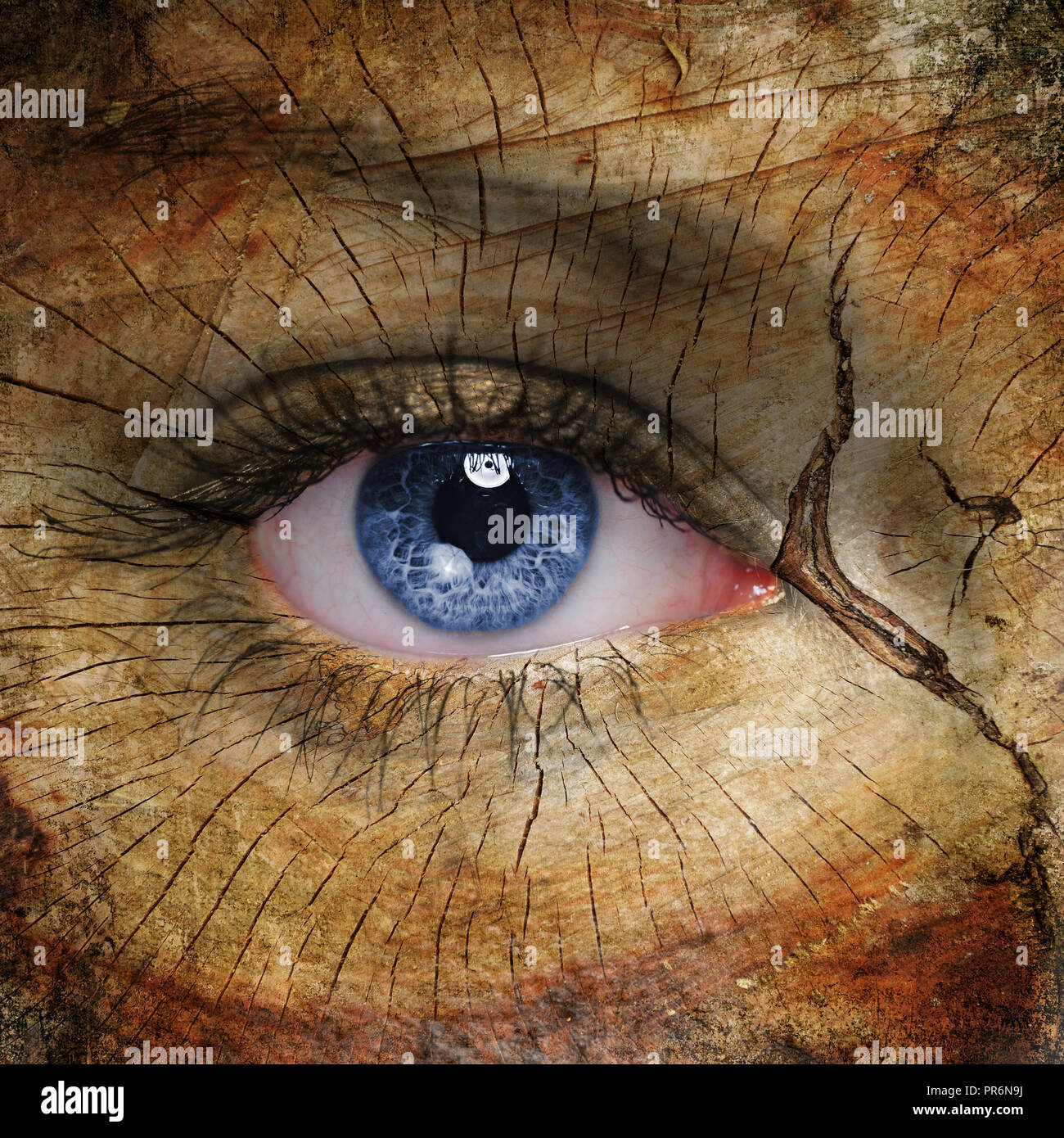 Human face close up hi-res stock photography and images - Alamy