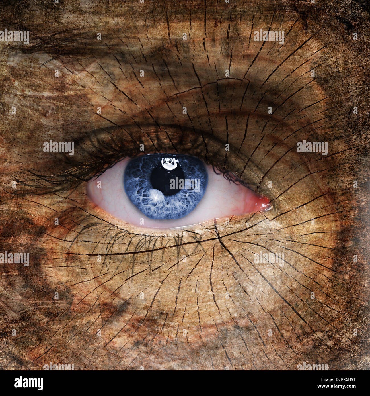 Human face close up hi-res stock photography and images - Alamy