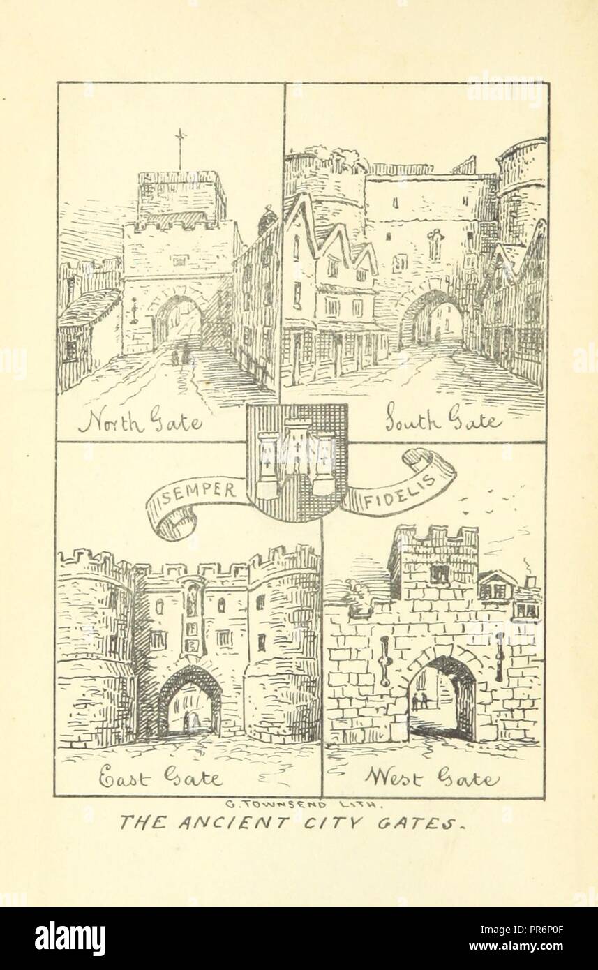 page 8 of 'Illustrated Popular History of Exeter, etc' Stock Photo - Alamy