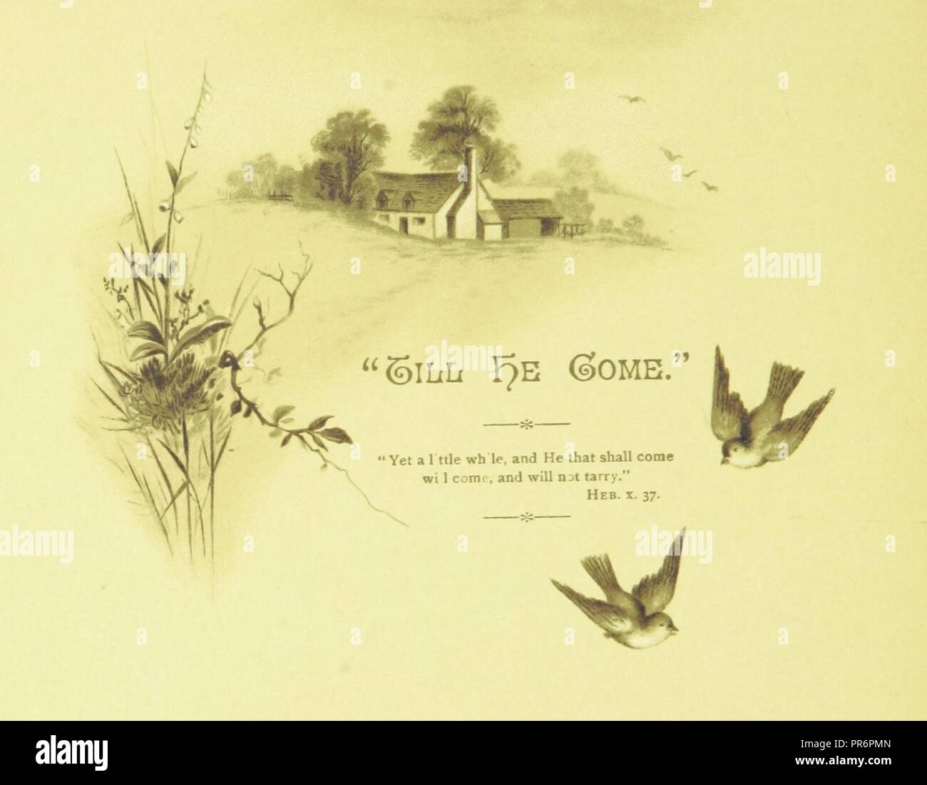 page 16 of 'Songs of the Dawn selection the poems of Horatius Bonar ...