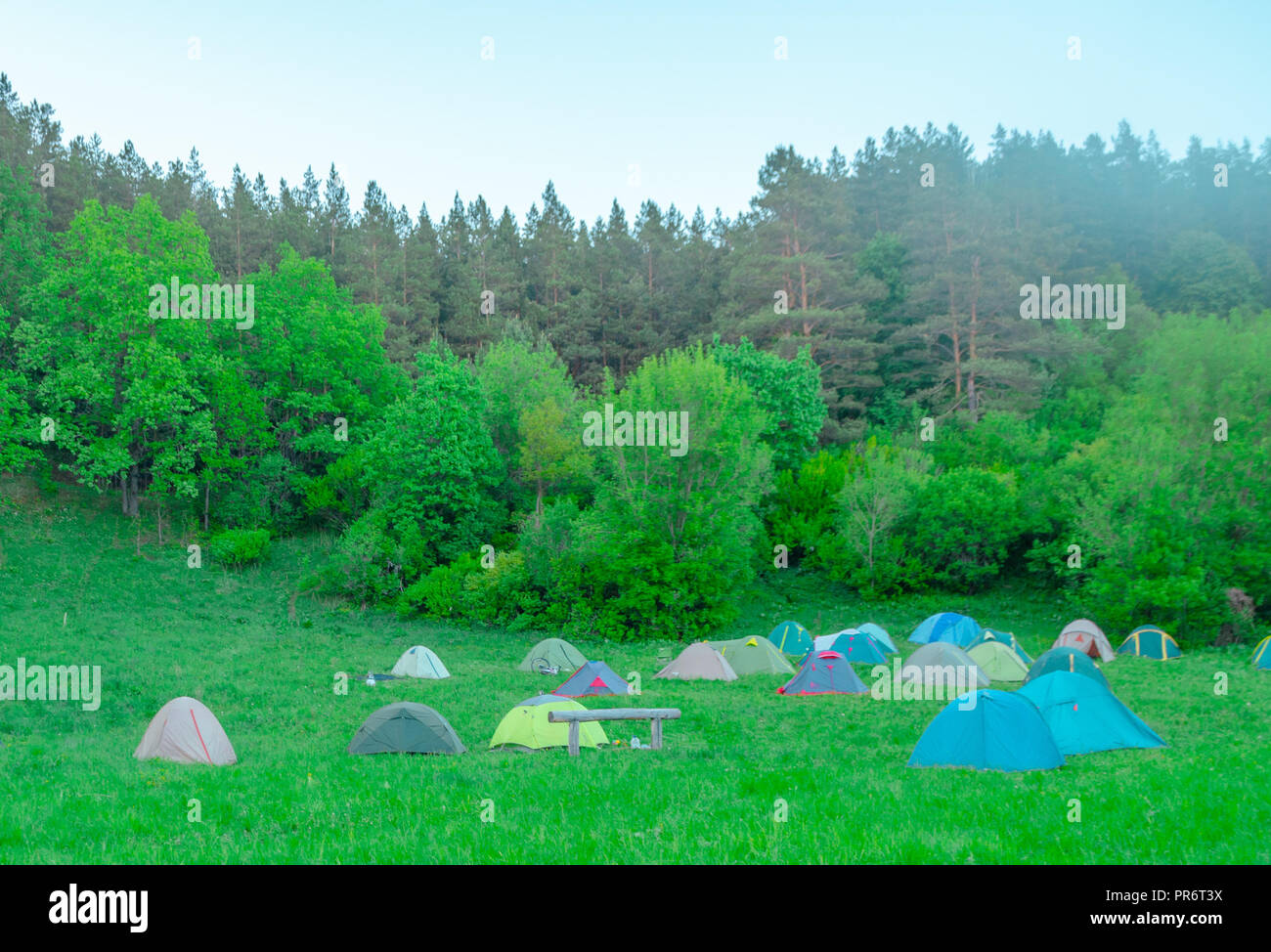 Tent camp in forest Stock Photo - Alamy