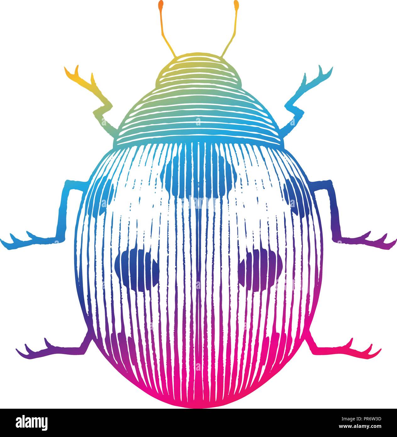 Illustration of Rainbow Colored Vectorized Ink Sketch of Ladybug ...