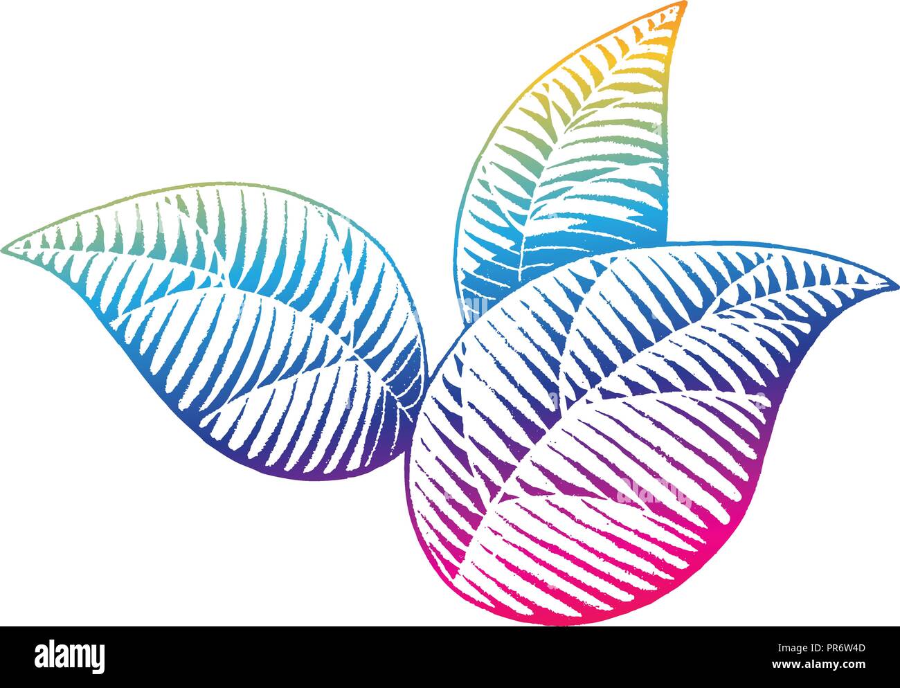 Illustration of Rainbow Colored Vectorized Ink Sketch of Leaves ...