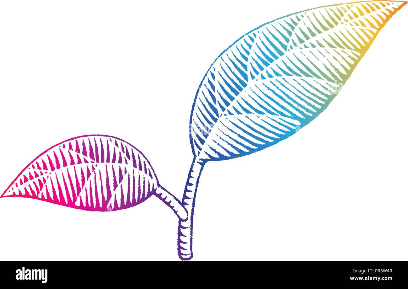 Illustration of Rainbow Colored Vectorized Ink Sketch of Leaves ...