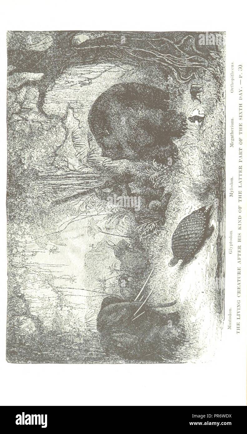 Aryan race hi-res stock photography and images - Alamy