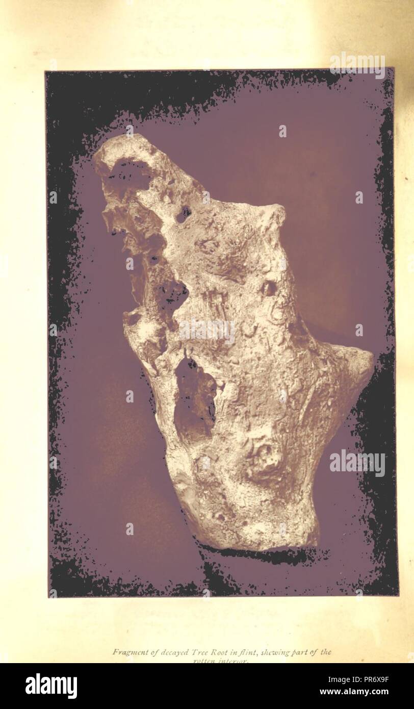 page 53 of 'The Chalk and Flint Formation, its origin in harmony with a ...