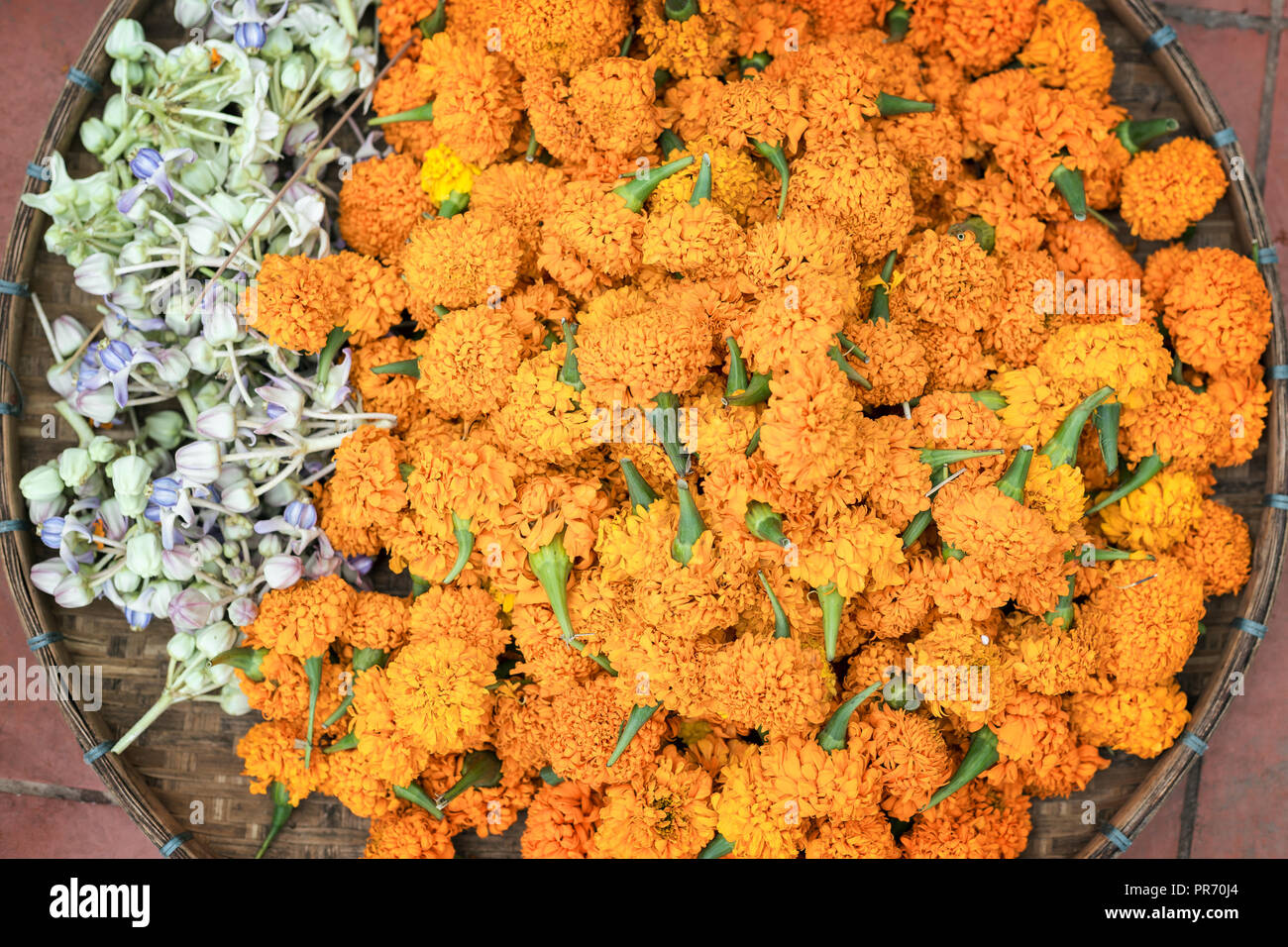 Offering basket hi-res stock photography and images - Alamy