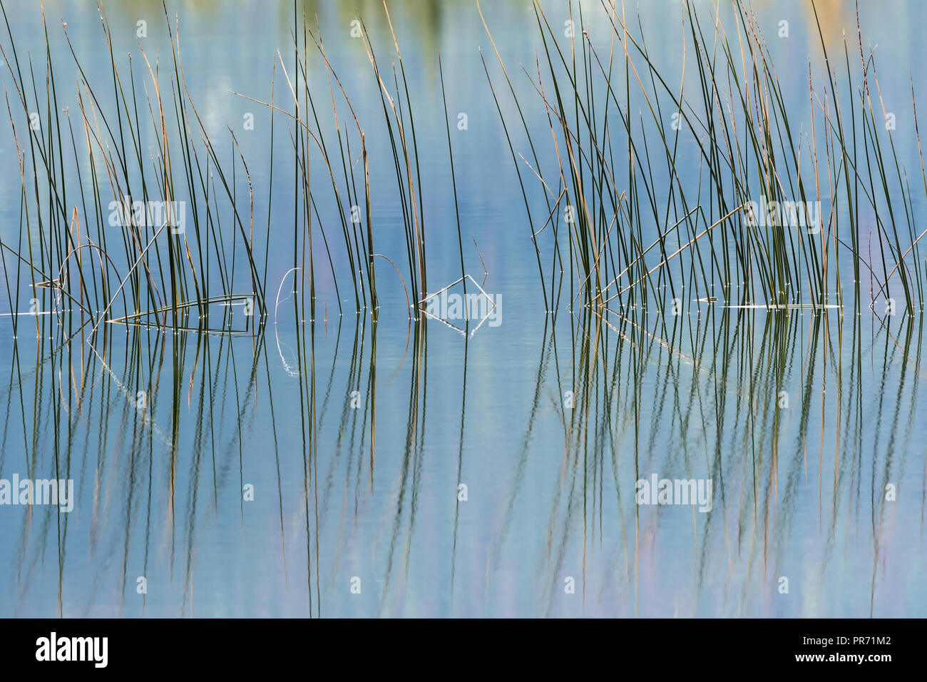 Talbot lake hi-res stock photography and images - Alamy