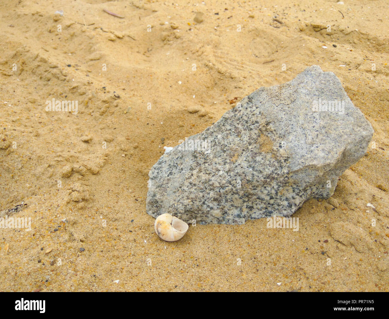Big Stone and small shell of river snail Stock Photo - Alamy