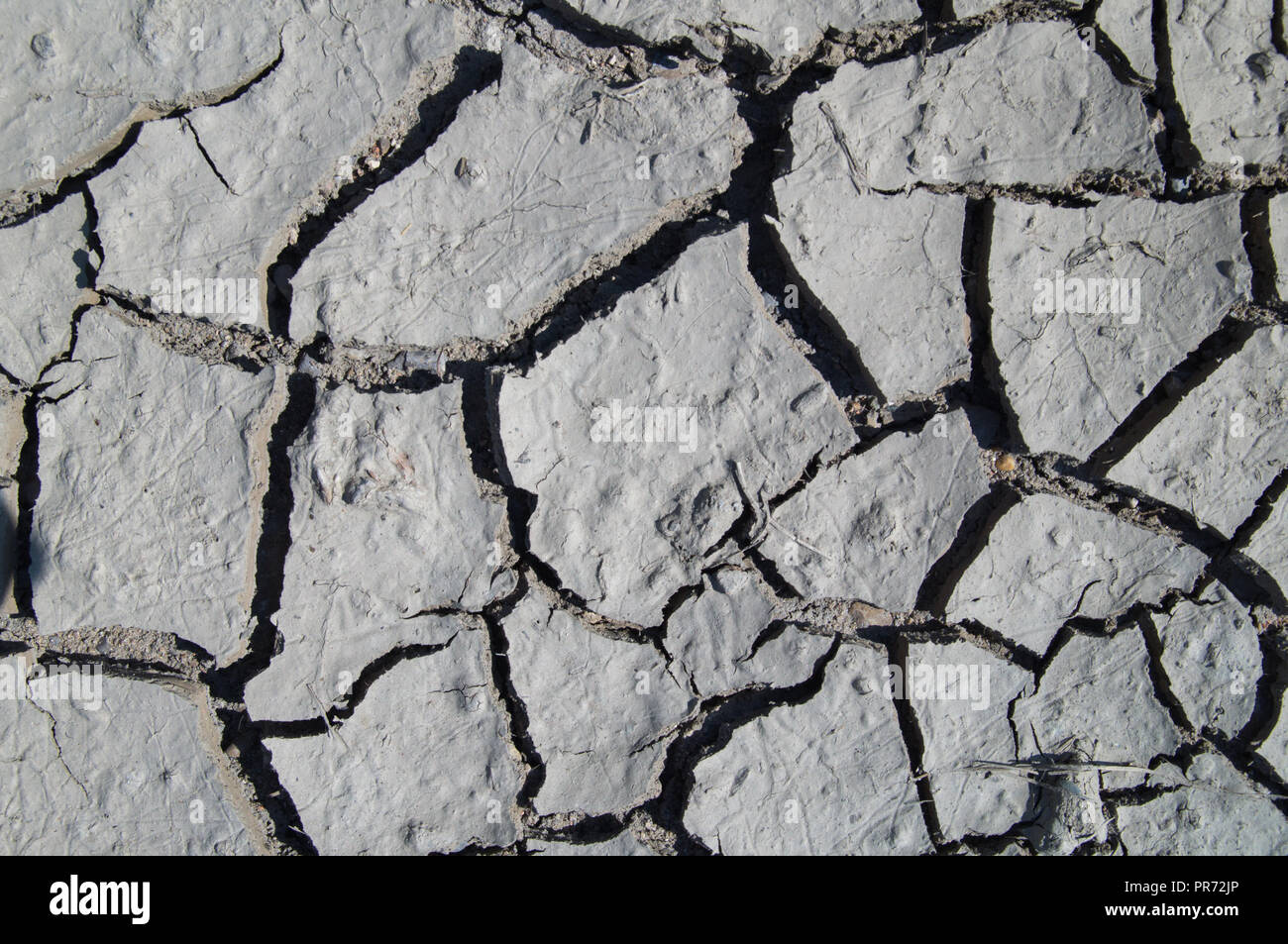 Split shot soil hi-res stock photography and images - Alamy