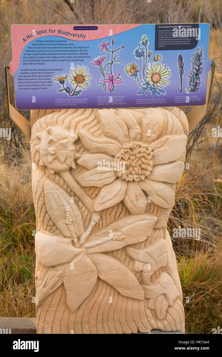 Point of Rocks Trail interpretive board, Ash Meadows National Wildlife ...