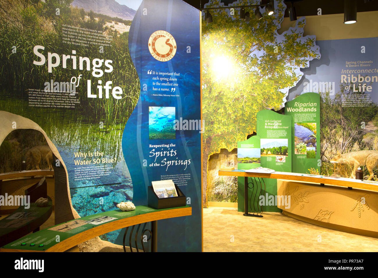 Visitor Center display, Ash Meadows National Wildlife Refuge, Nevada ...