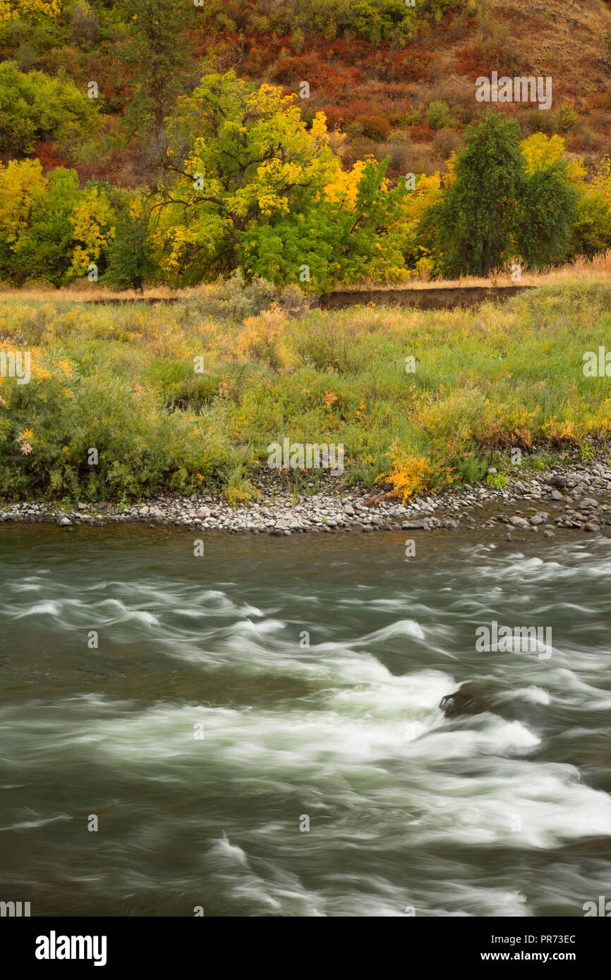 Grande Ronde River, Chief Joseph Wildlife Area, 4-O Ranch Unit, Asotin ...