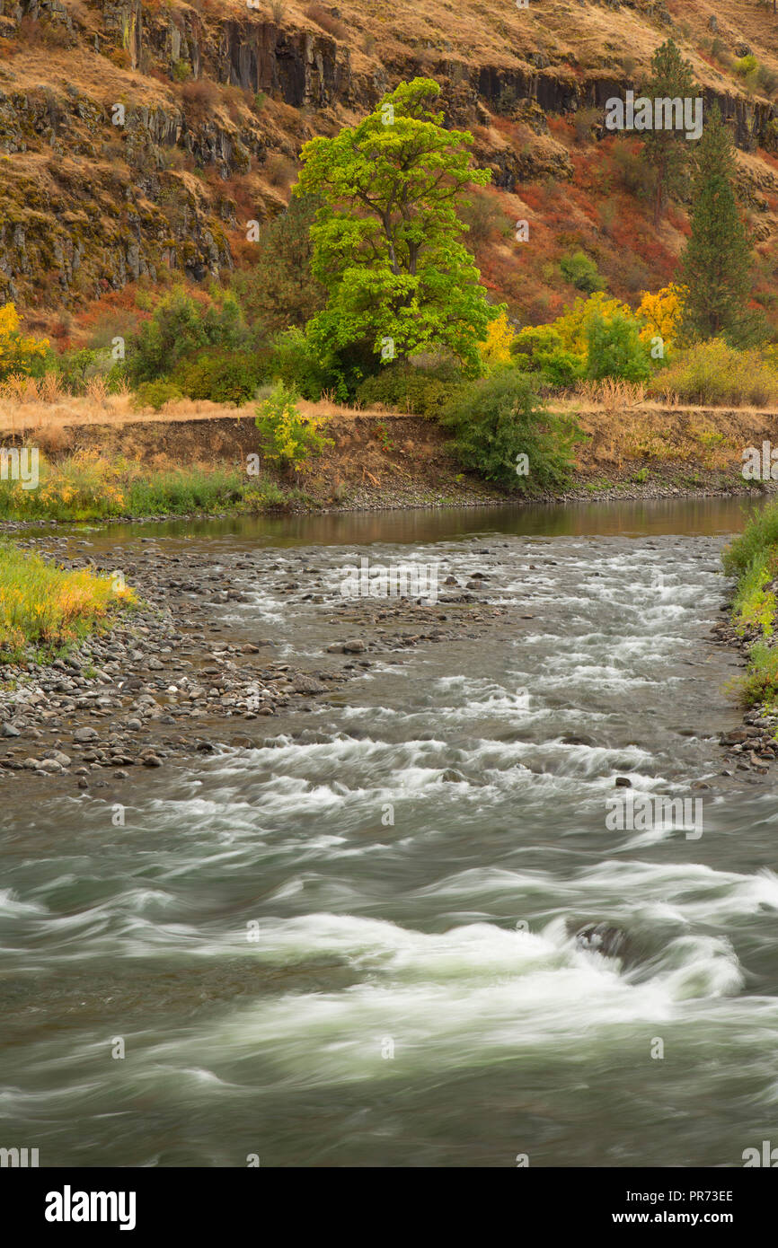 O ranch hi-res stock photography and images - Alamy