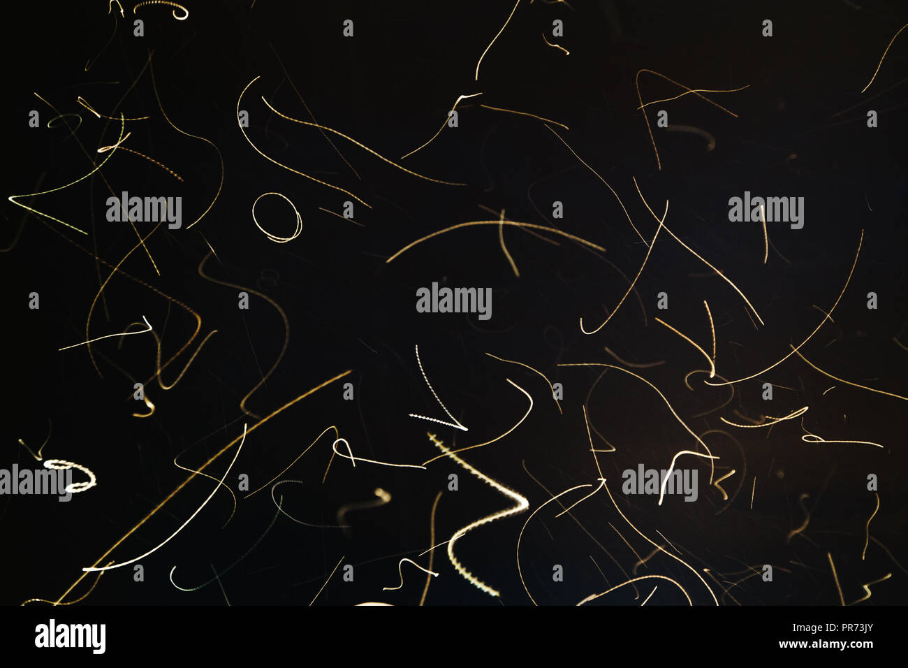 Moths flying night hi-res stock photography and images - Alamy