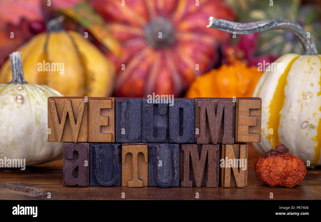 Welcome Autumn text written in wooden block lettering with colorful ...