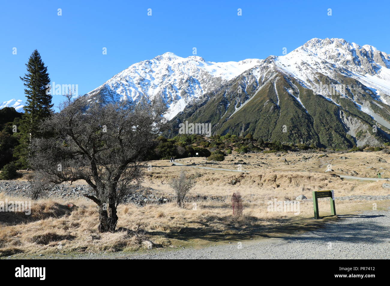 Mount cook national park hi-res stock photography and images - Alamy