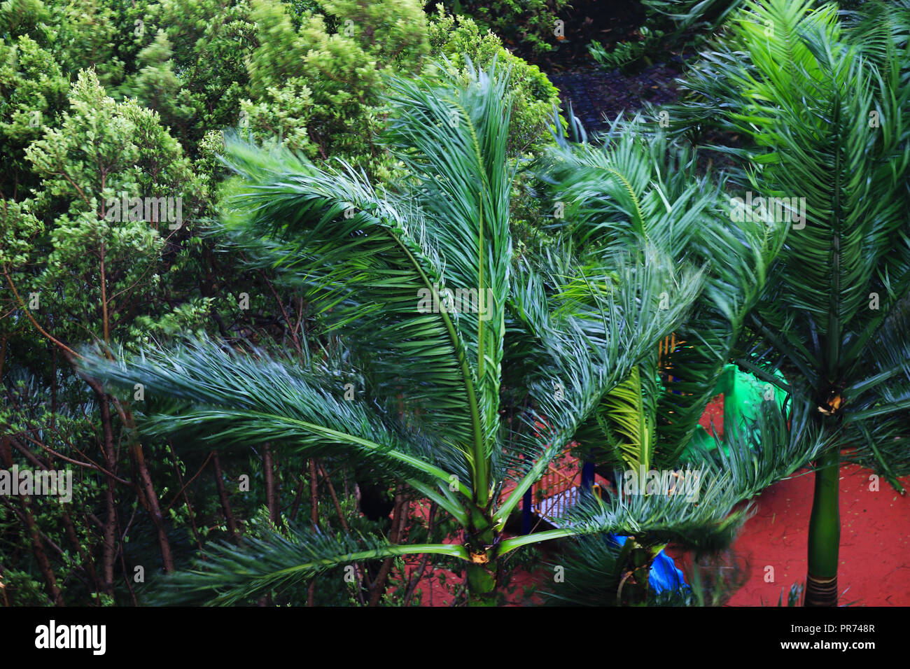 Close up view typhoon hi-res stock photography and images - Alamy